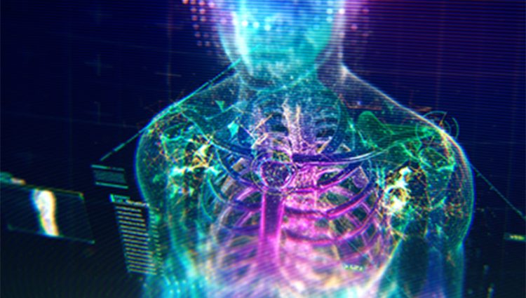 VO2 Max Testing, Body Composition Scan, VO2 Max Test | INLIV